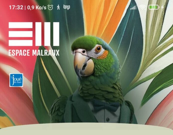 Espace Malraux : un programmeà suivre avec application - Entrée du public